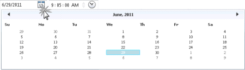 Interaction Supervisor Help - Interaction Details view
