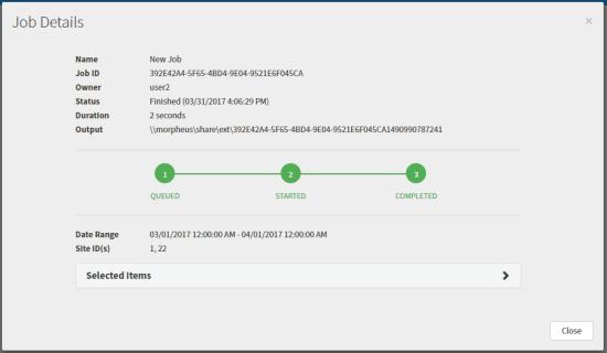 Interaction Data Extractor - Viewing Details of a Job
