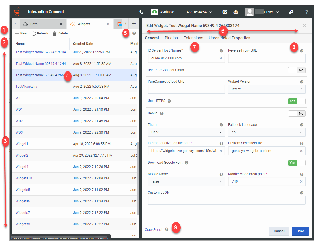 Interaction Connect Help - Widgets View